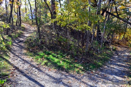 Bull Hill (Mt. Taurus) II: Full Loop | Hike the Hudson Valley