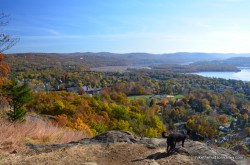 Bull Hill (Mt. Taurus) II: Full Loop | Hike the Hudson Valley