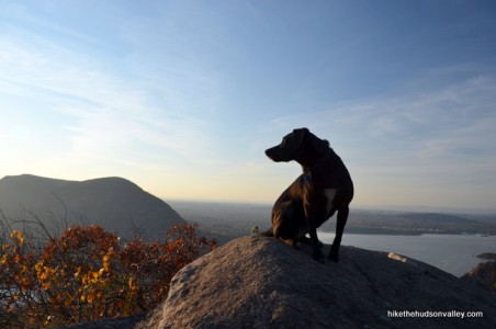 Bull Hill (Mt. Taurus) | Hike the Hudson Valley