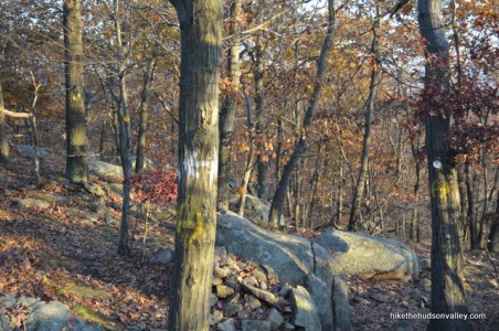 Bull Hill (Mt. Taurus) II: Full Loop | Hike the Hudson Valley