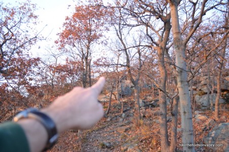 Bull Hill (Mt. Taurus) II: Full Loop | Hike the Hudson Valley