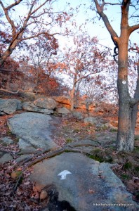 Bull Hill (Mt. Taurus) II: Full Loop | Hike the Hudson Valley