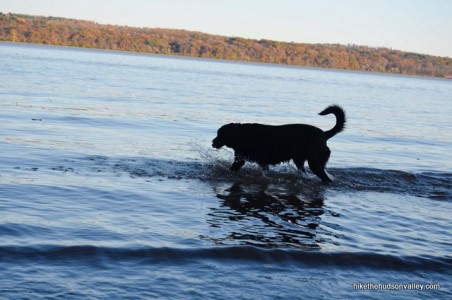 Falling Waters Preserve | Hike the Hudson Valley