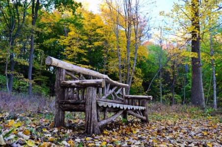 Falling Waters Preserve | Hike the Hudson Valley