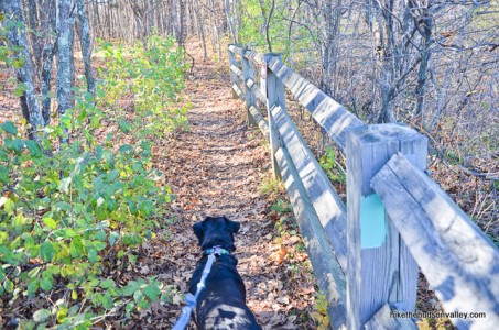 Indian Ladder Trail | Hike the Hudson Valley