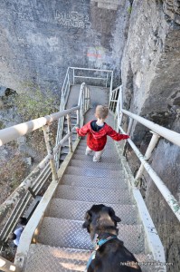 Indian Ladder Trail | Hike the Hudson Valley