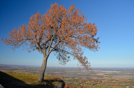 Indian Ladder Trail | Hike the Hudson Valley